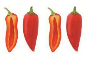 M&S unveils world's first seedless pepper | Article | Fruitnet