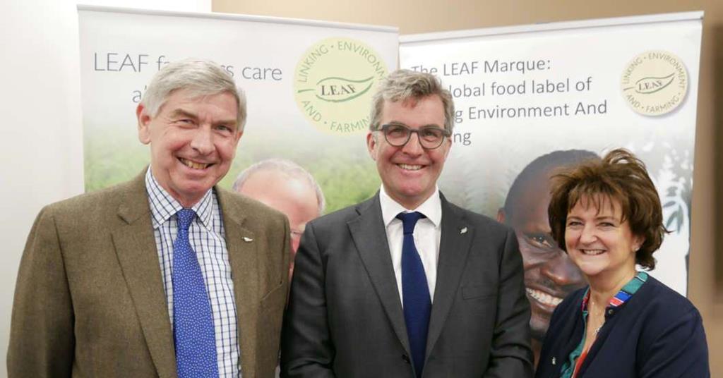 15 years of growth for LEAF Marque | Article | Fruitnet