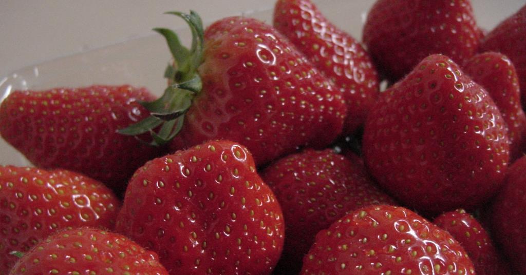 Ukraine: Erdbeer-Anbau entwickelt sich weiter positiv | Article | Fruitnet