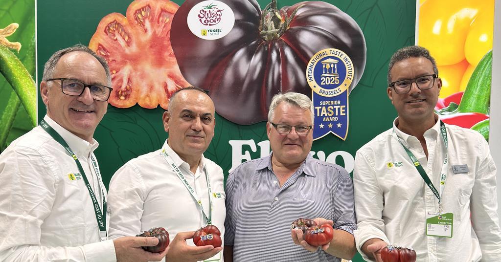 Yuksel Seeds partners with LVG for exclusive Sweetloom F1 tomato ...