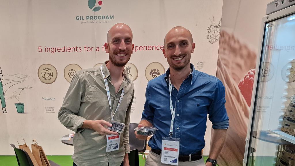 G-Berries enters blueberry business with Naike Blueberry Club | News ...