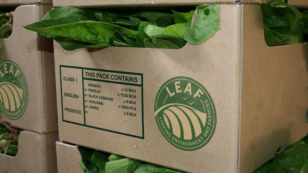 LEAF Marque is a catalyst for systemic change | Comment | Fruitnet