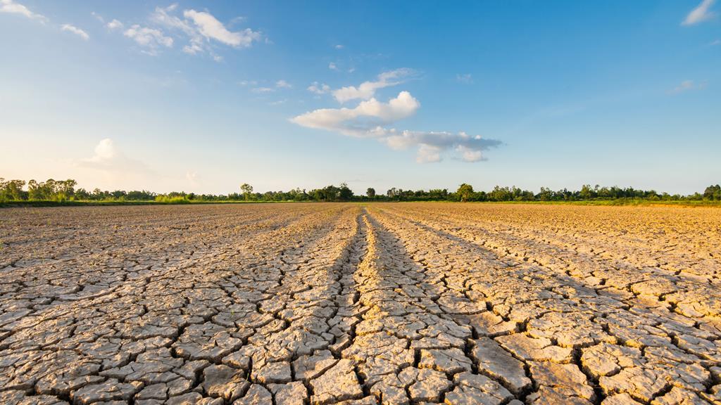 Farmers ‘face soaring risk of flash droughts’ | News | Fruitnet