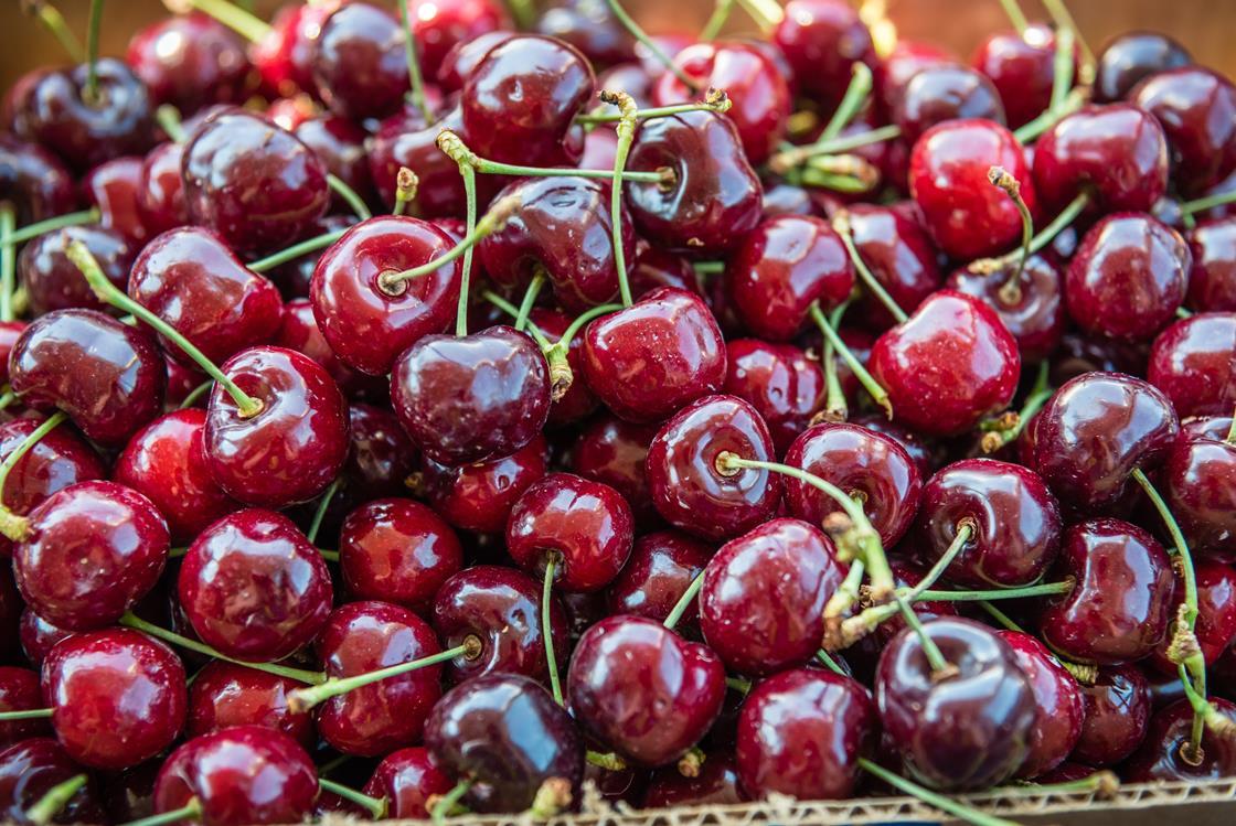 T&G Global and Sandher Fruit Packers form strategic partnership to ...