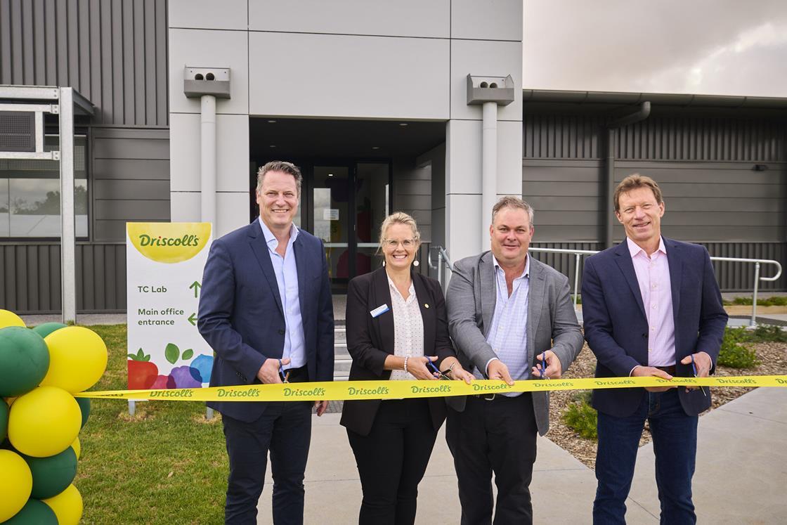 Driscoll’s opens new Australian high-tech tissue culture laboratory ...