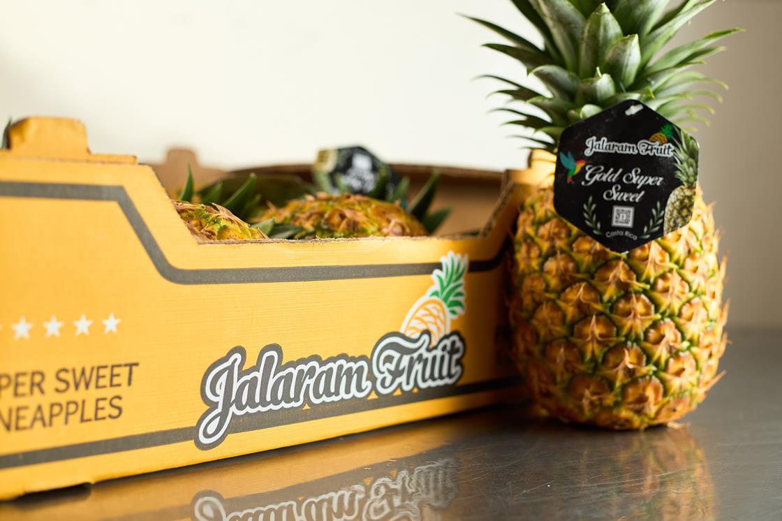 High Colour pineapples a draw for consumers, says Jalaram Fruit | News | Fruitnet