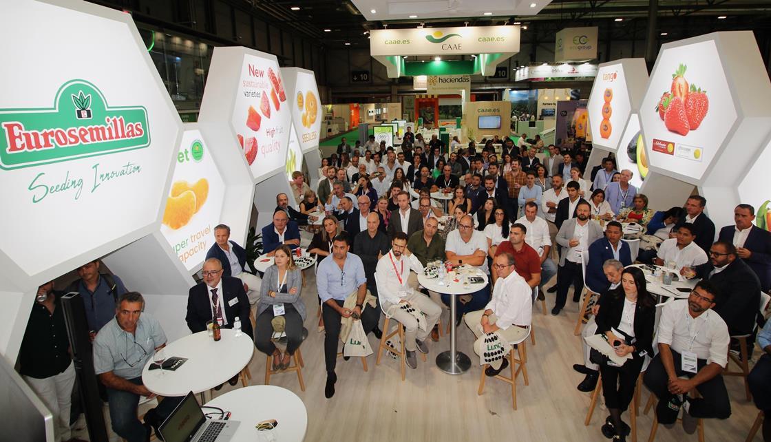 Luna avocados step into the limelight | News | Fruitnet