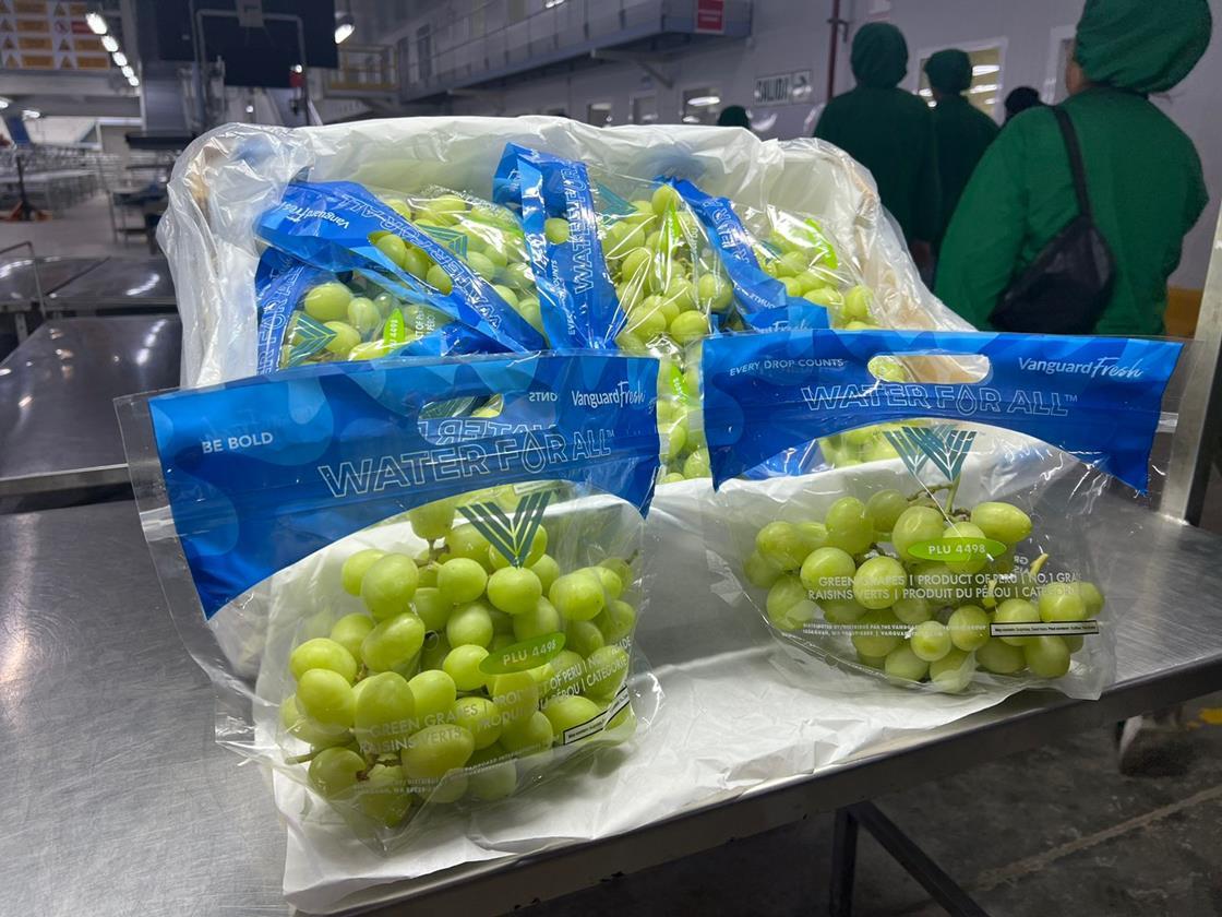 Vanguard puts water conservation label on Latin American grapes | News ...