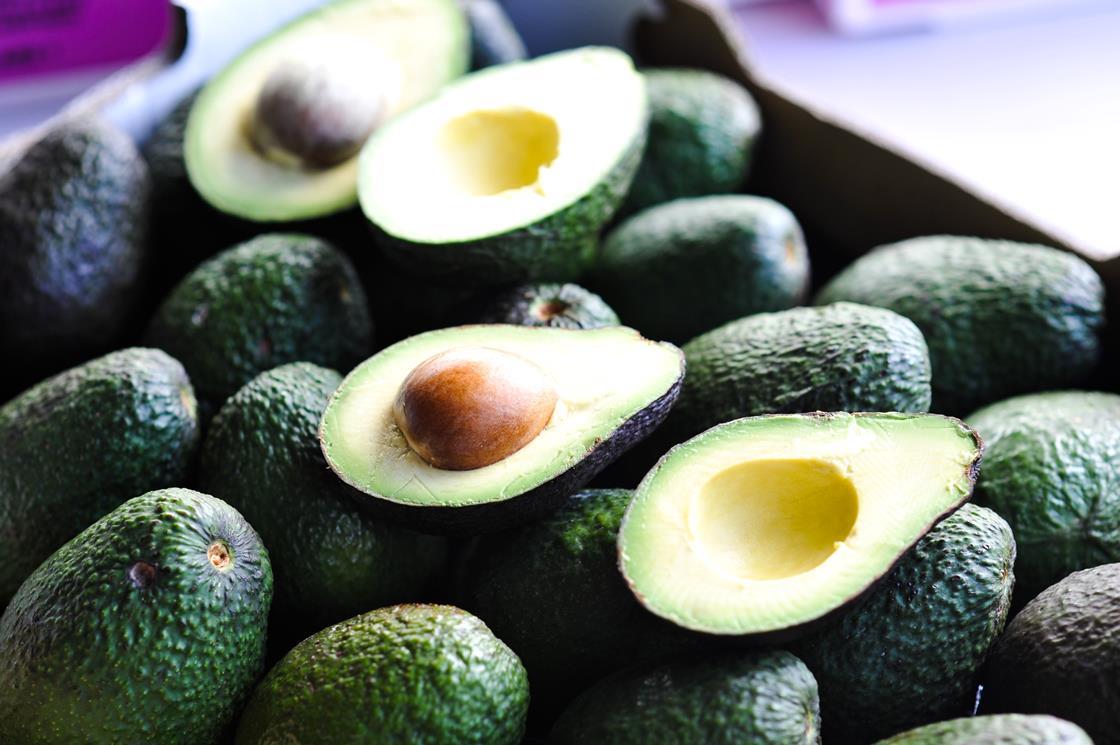 New project unlocks performance insights for Australian avocado ...