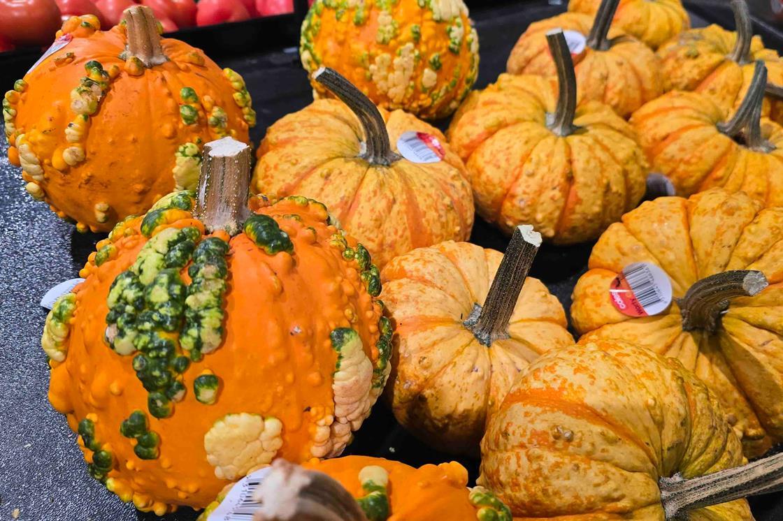 Coles expands Halloween fresh range with Mini Wart pumpkin | News ...