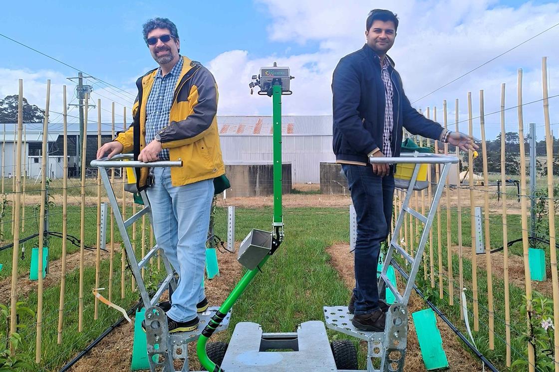 West Australian technology trial supports narrow orchard systems ...