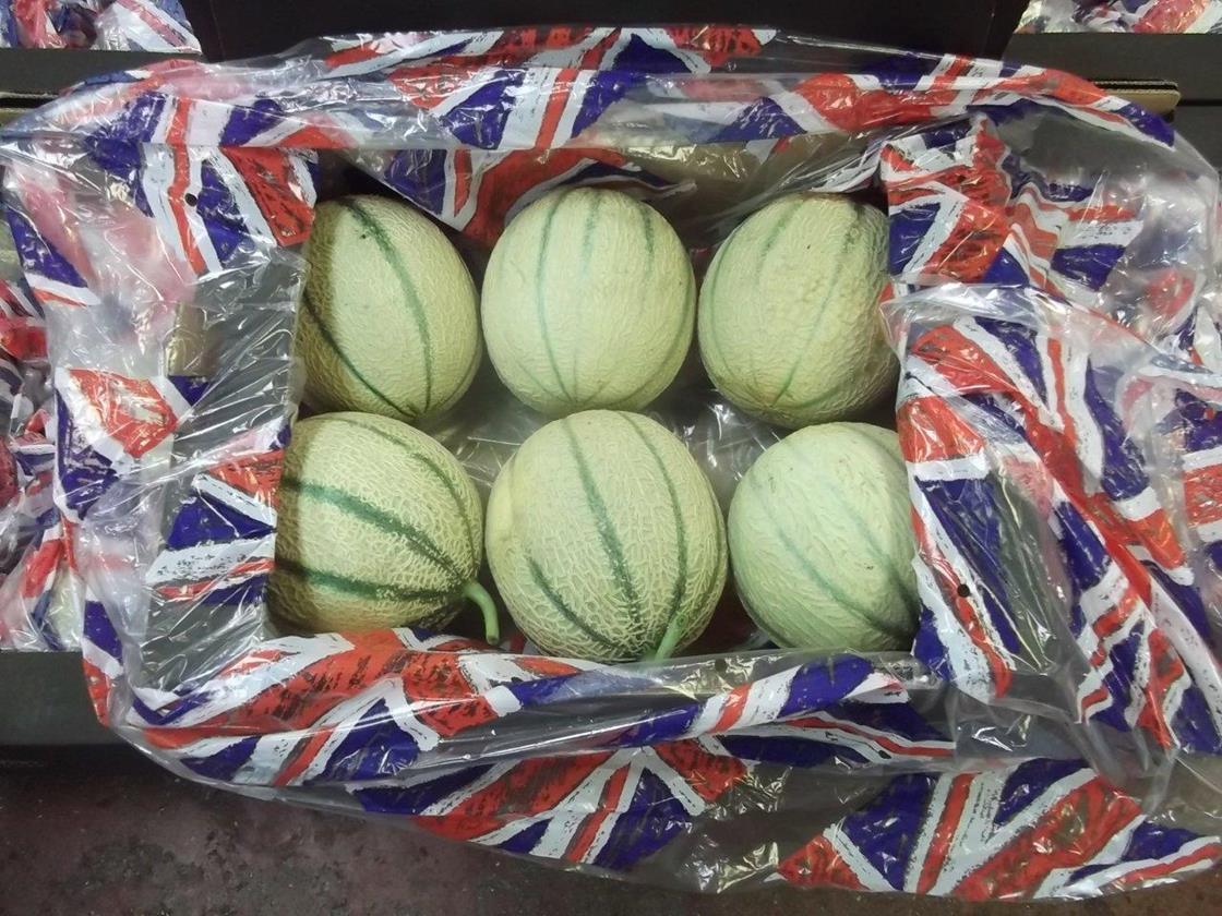 Britain’s melon opportunity | Article | Fruitnet