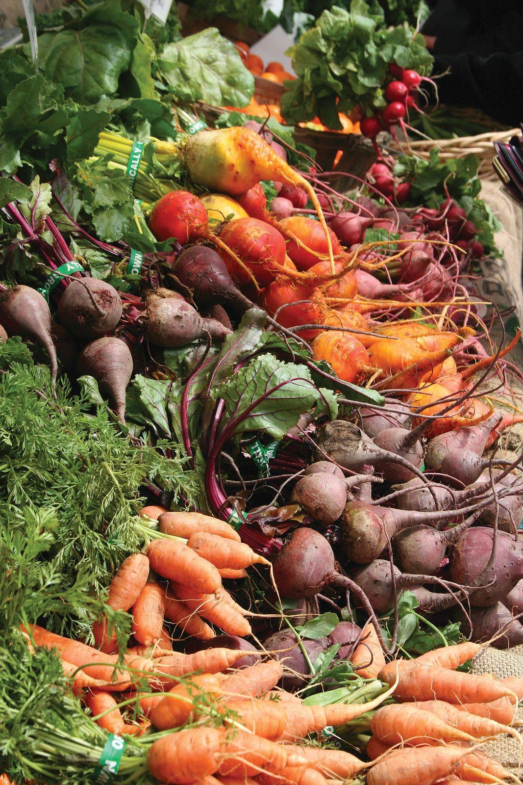 Two-fifths of produce 'rejected by supermarkets' | Article | Fruitnet