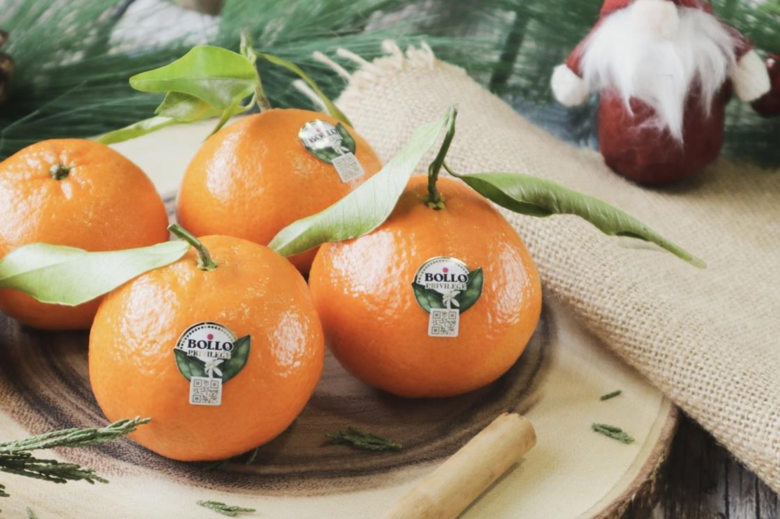 Bollo International joins The Natural Fruit Company | Article | Fruitnet