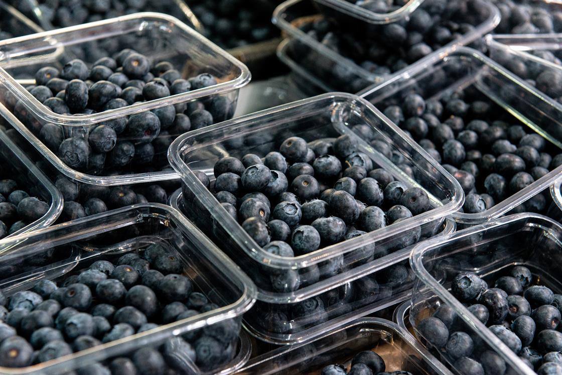 Peru looks to Asia to diversify blueberry markets | News | Fruitnet