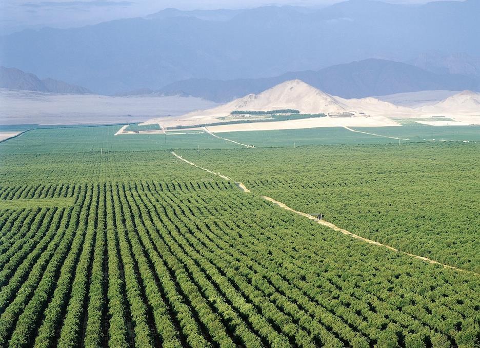 Peru anticipates weak El Niño in 2026 | News | Fruitnet