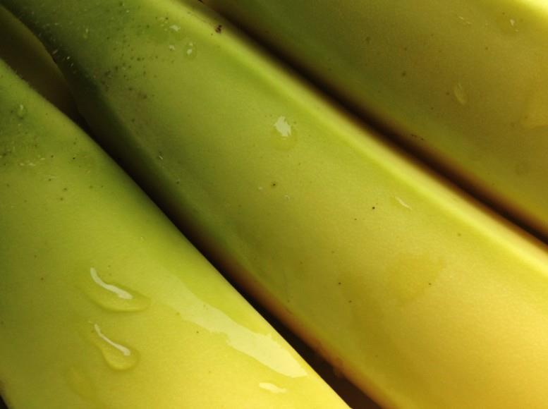 Cambodia’s banana boom | Article | Fruitnet