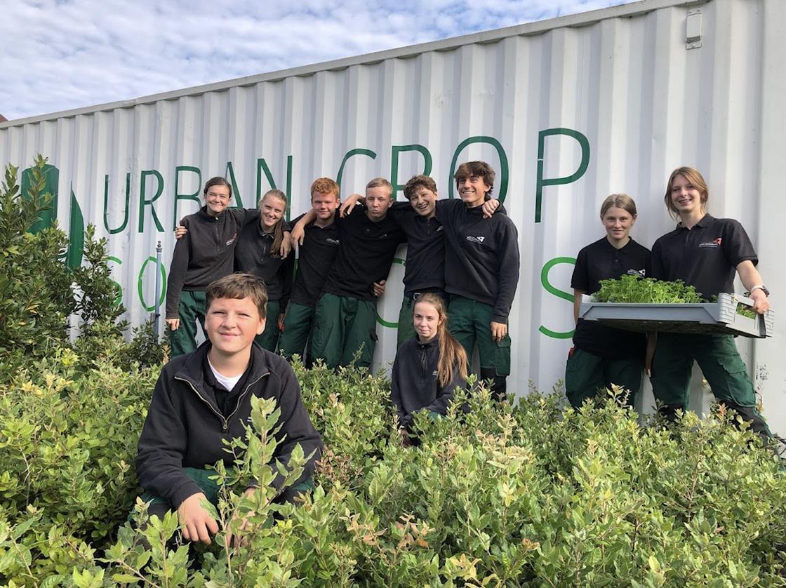 Urban Crop Solutions launches Belgian training scheme | Article | Fruitnet