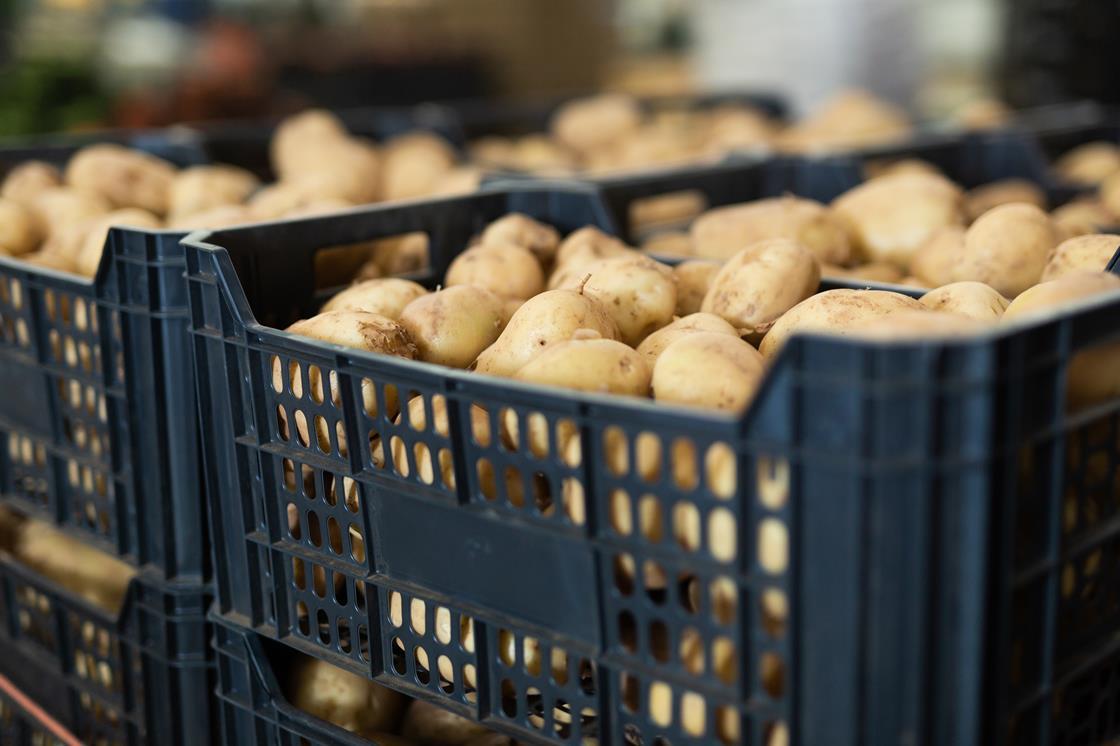 US potatoes secure expanded access to Korea | News | Fruitnet
