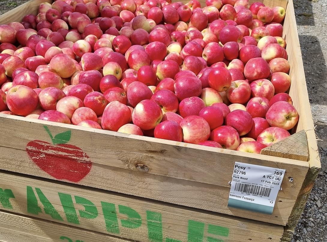 Scales Corporation reports 77% growth in horticulture earnings with ...