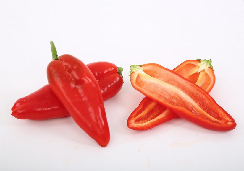 The long road to seedless peppers | Article | Fruitnet