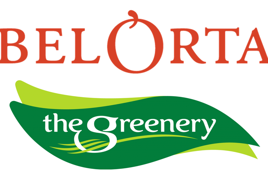 Cooperatives BelOrta and The Greenery explore collaboration | News ...