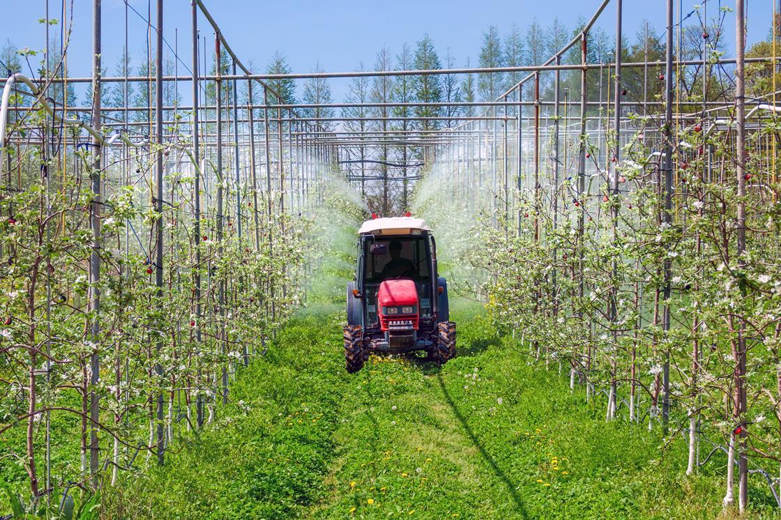 Korea’s smart orchard project returns to Yanggu County | News | Fruitnet