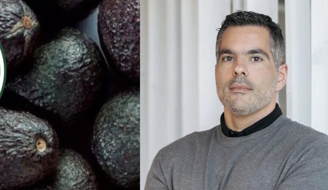 Chile sees biggest avocado crop in ten years | News | Fruitnet