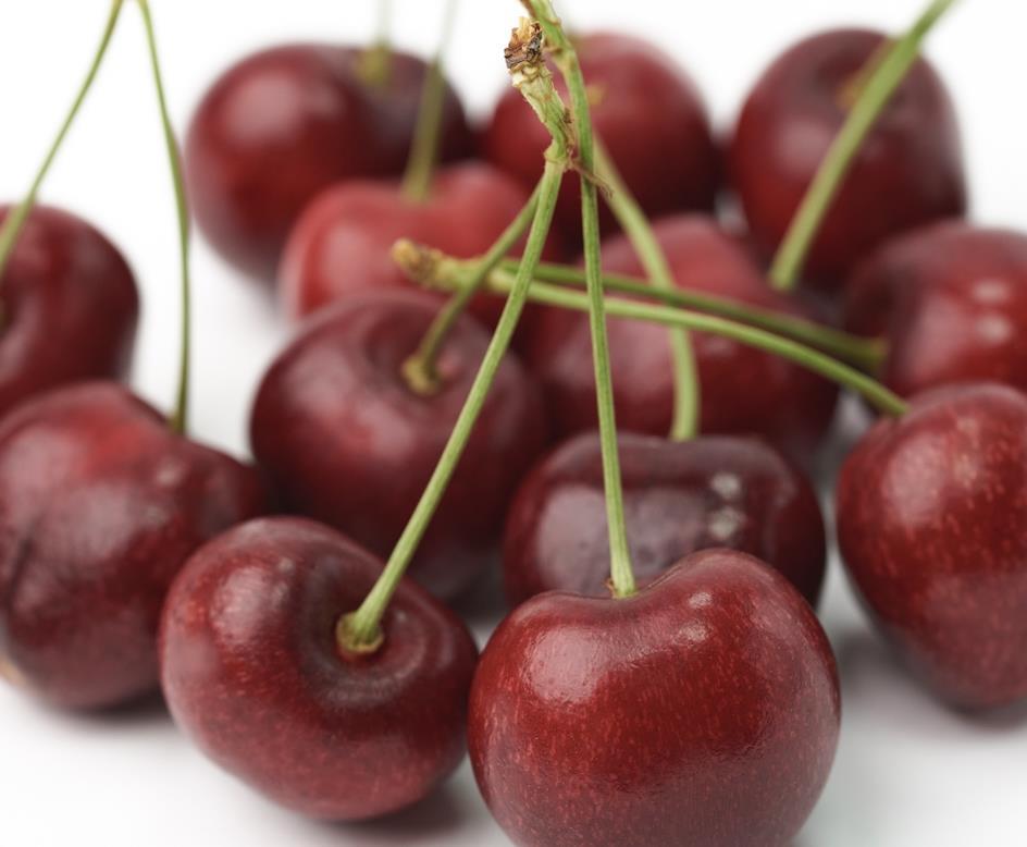 Bloom Fresh maps out key trends and predictions for 2024 | News | Fruitnet