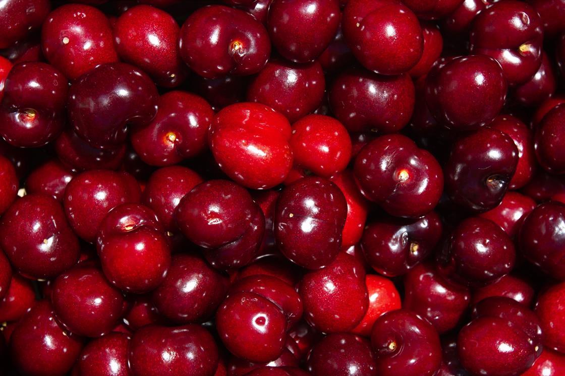 Spanish Picota cherry producers launch 2025 UK marketing campaign with ...