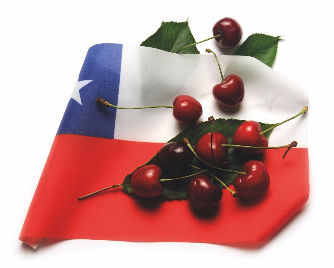 Chilean Cherry Committee releases first forecast for 2023/24 | News ...