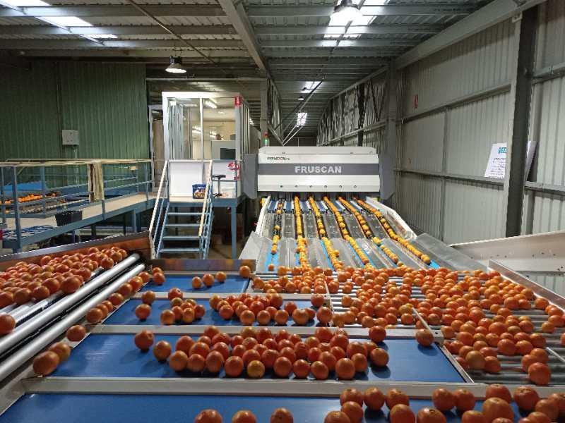 Reemoon sets milestone with Mario’s Packhouse installation ...