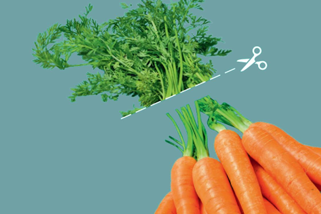 Albert Heijn reduces carrot packaging by 30 per cent with less foliage ...