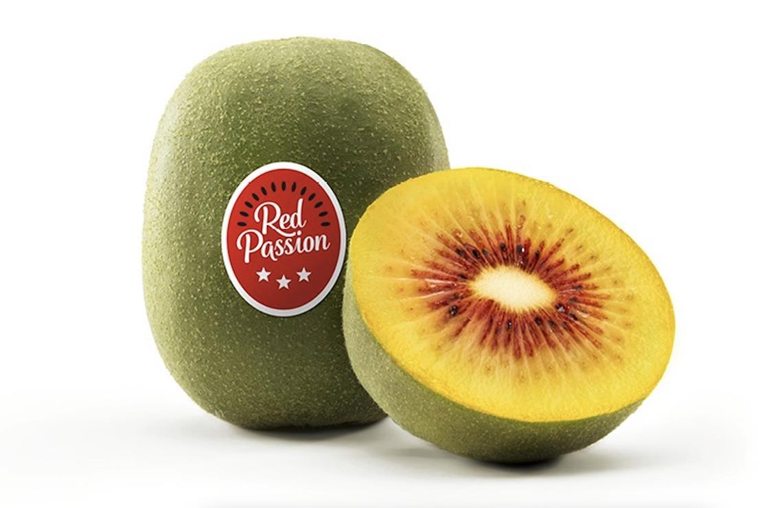Oppy brings in Red Passion kiwifruit from Europe | News | Fruitnet