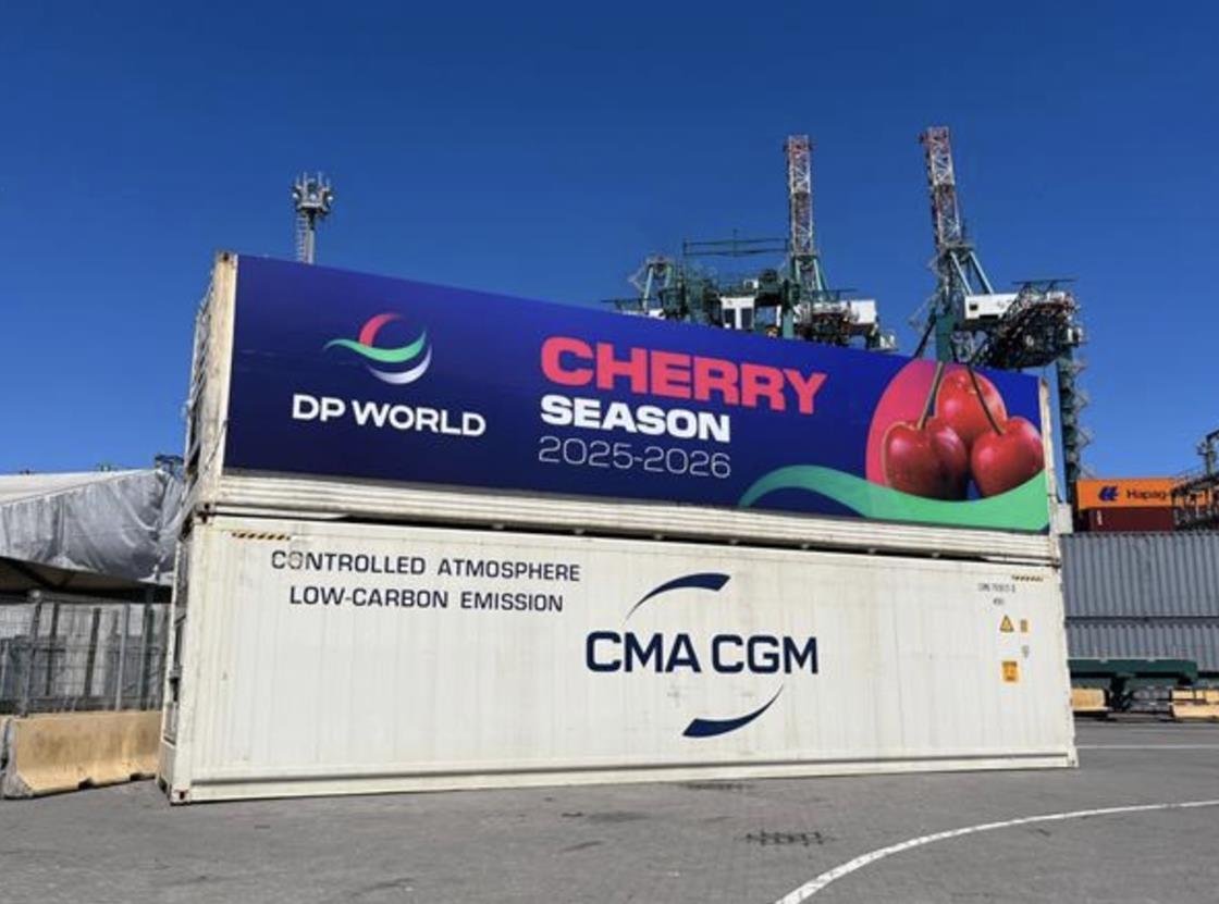 DP World powers Chile’s cherry export boom ahead of Chinese New Year ...
