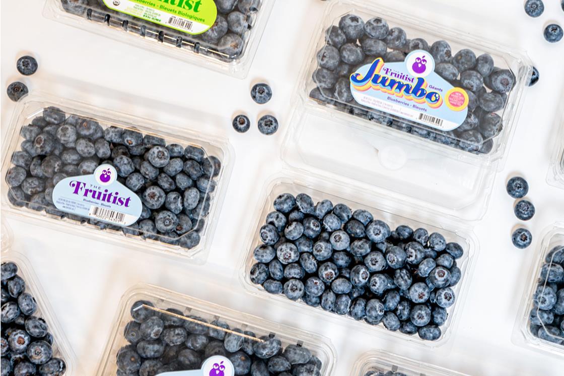 Agrovision secures its largest ever private equity investment | News ...