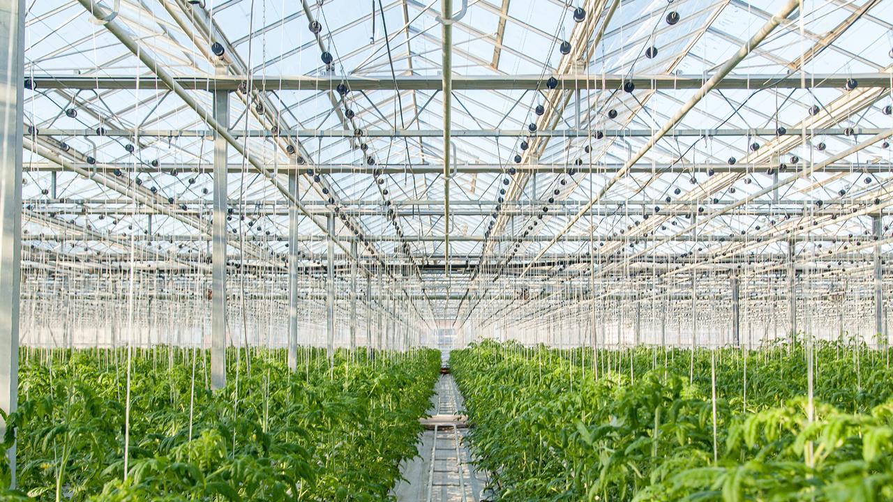 Boost for hort as planning reform set to ease building approvals | News ...
