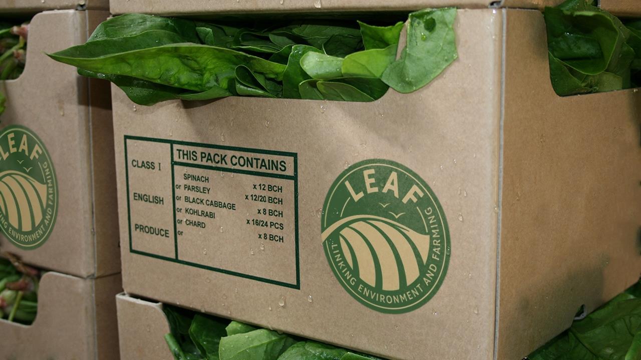 LEAF Marque is a catalyst for systemic change | Comment | Fruitnet
