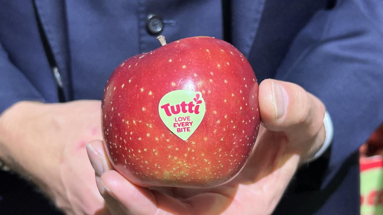VentureFruit unveils Tutti, world’s first ever hot-climate apple | News ...