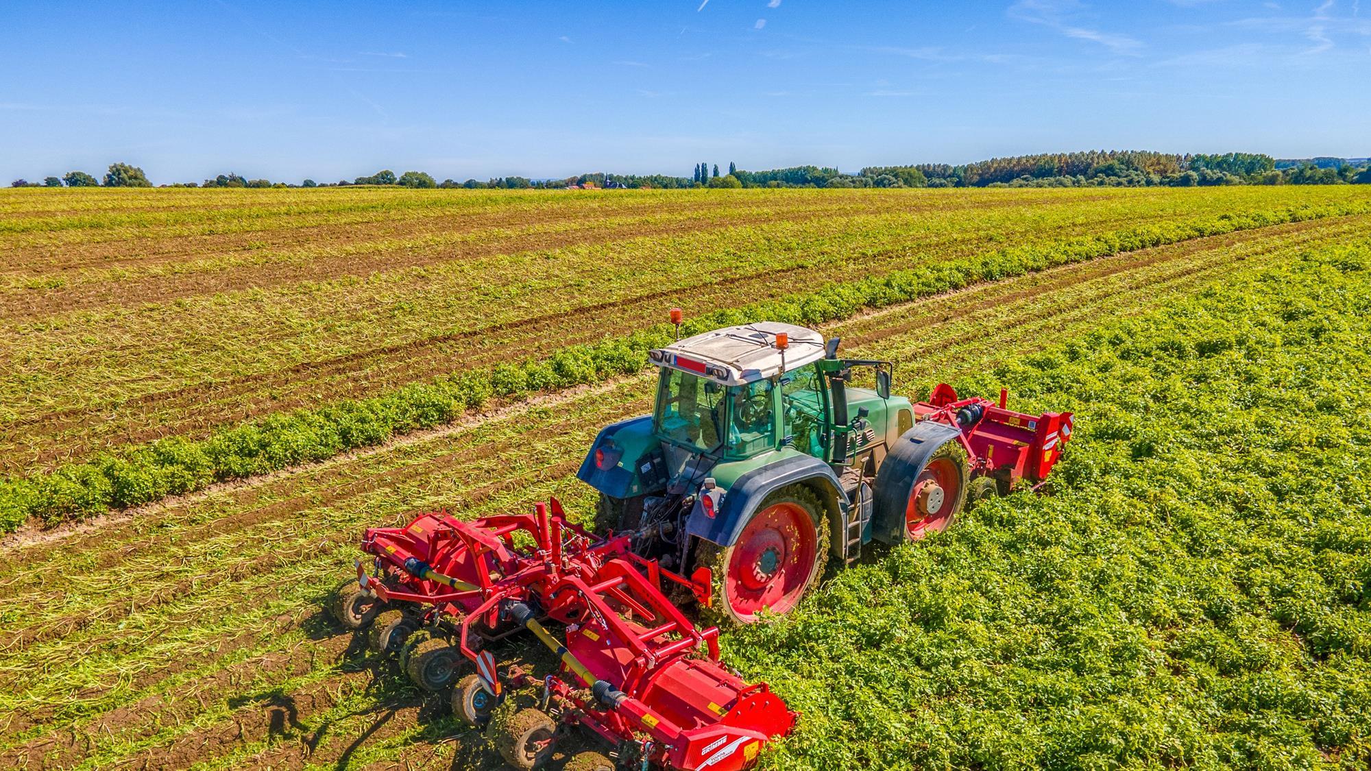 Grimme introduces new potato haulm topper to UK market | News | Fruitnet