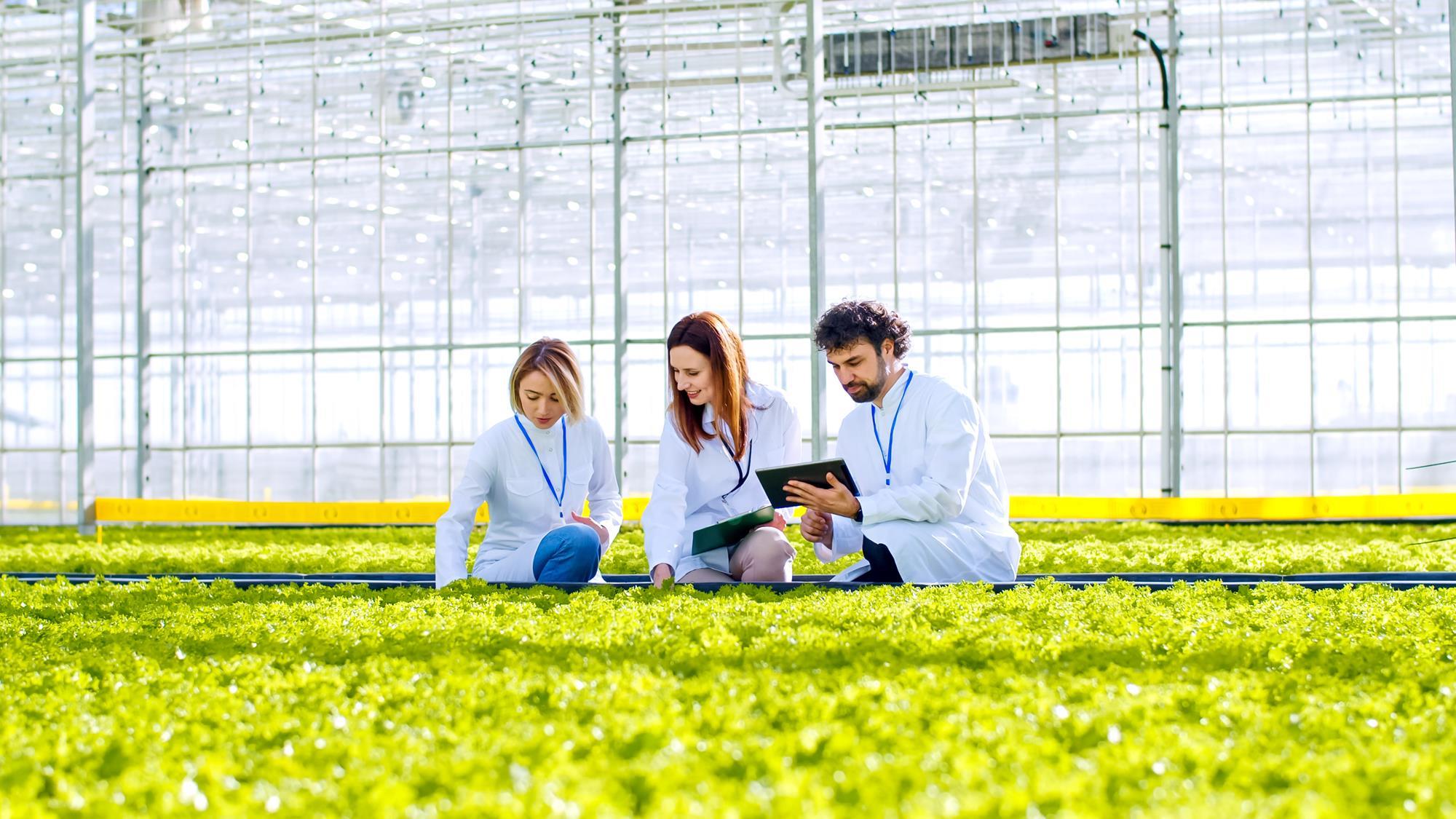Farm assurance report highlights positive signs but more to do | News ...