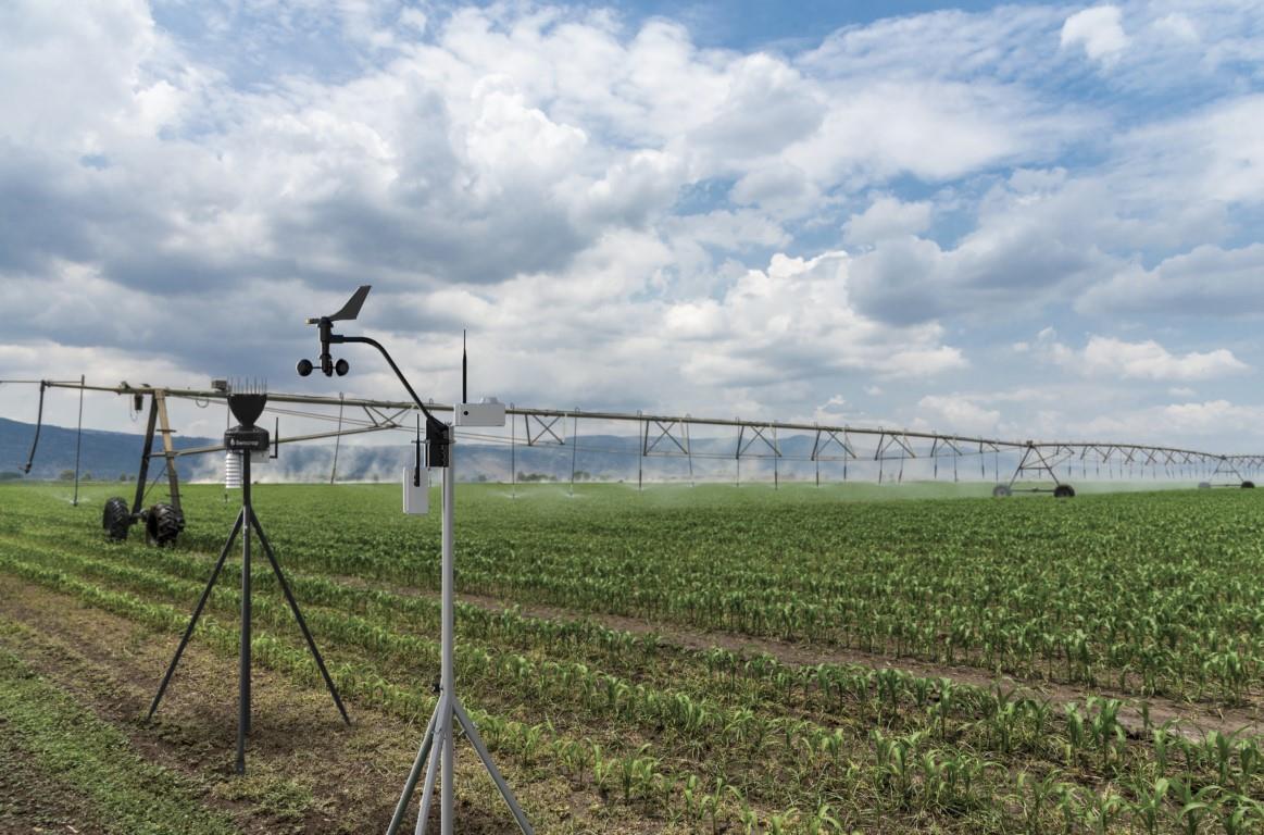 New sensor promises improved irrigation management | News | Fruitnet