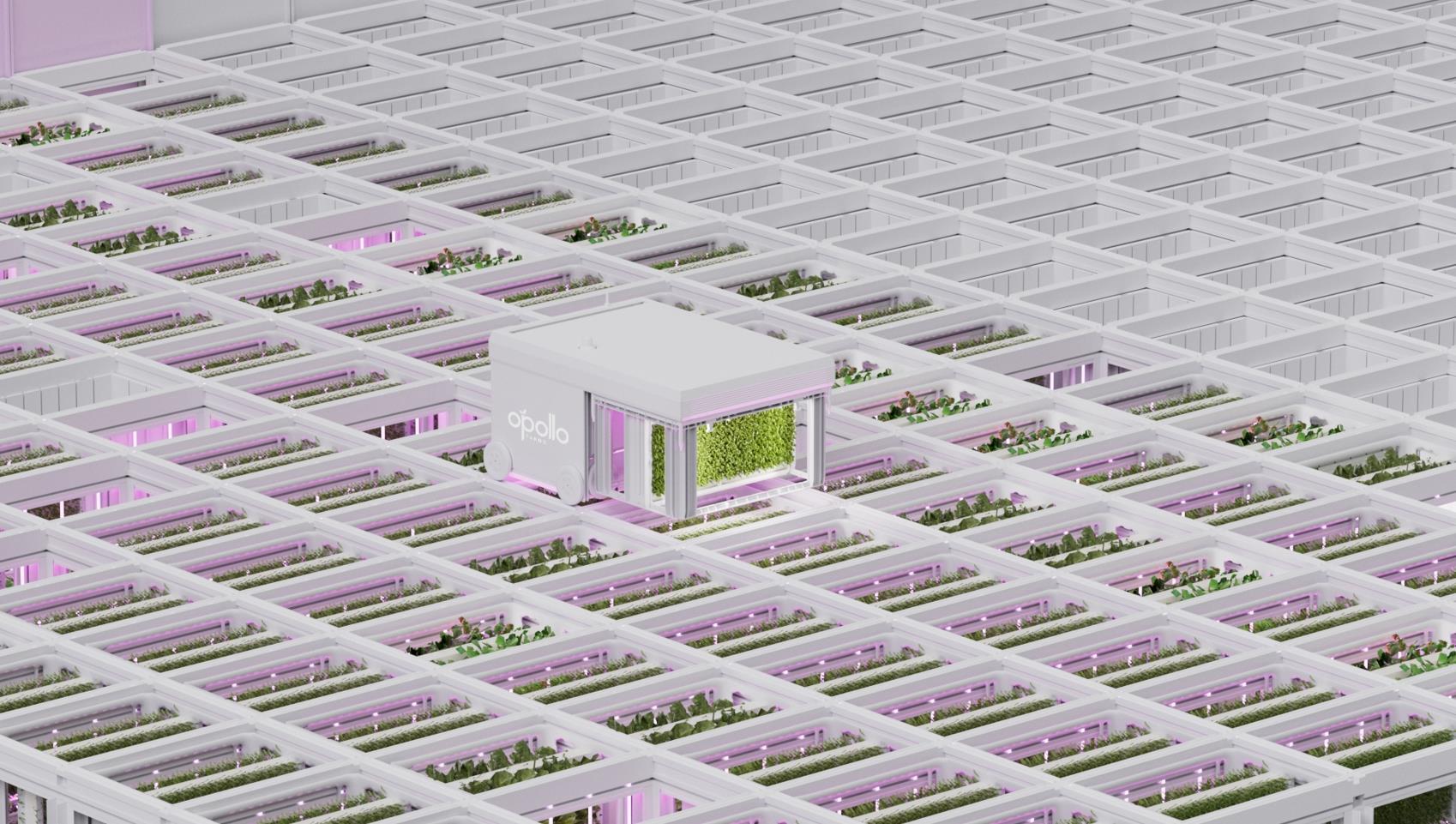 Boxing clever: art of vertical farming enters cubist phase | Features ...