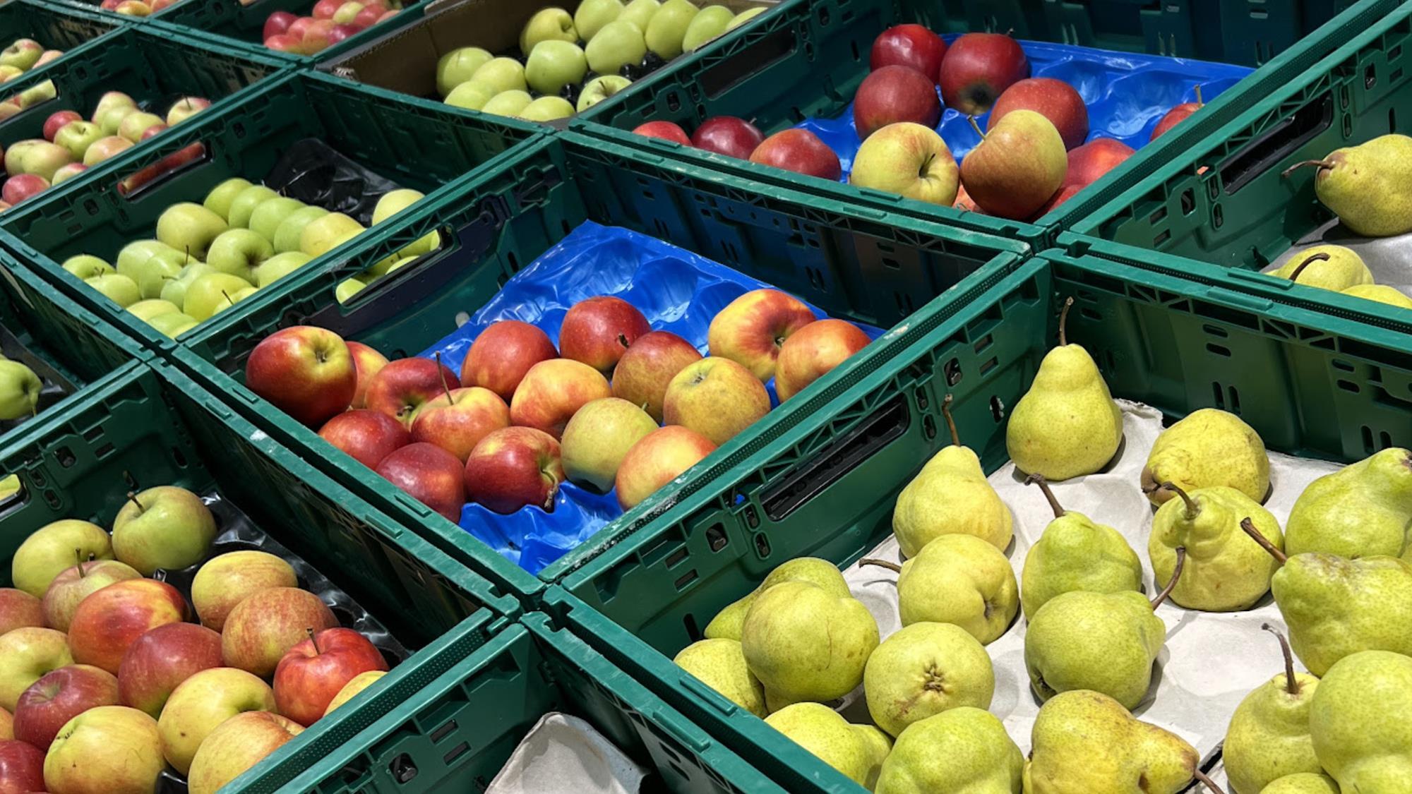 Southern Hemisphere apple exports set to rise | News | Fruitnet