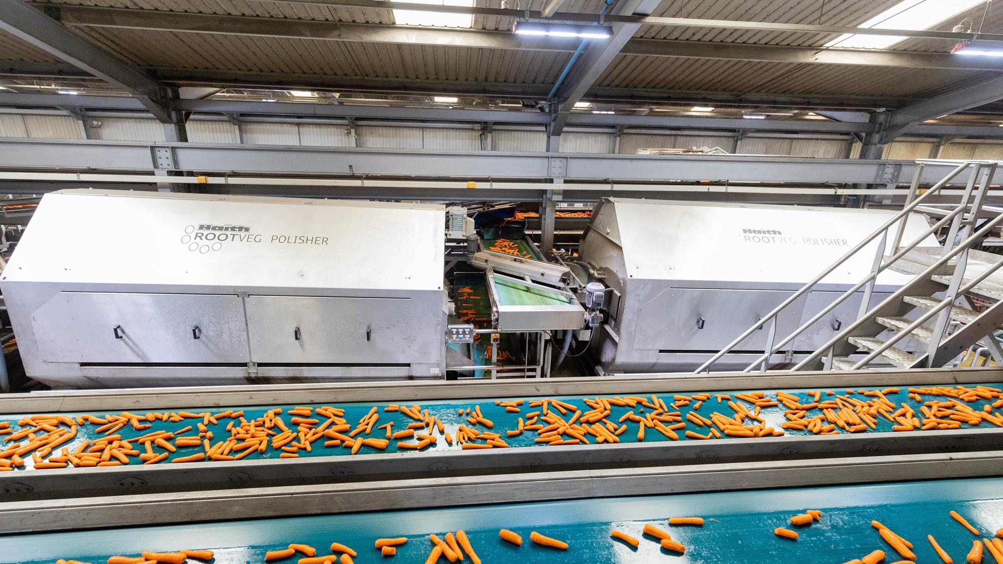 Six-figure polisher spend for Huntapac | News | Fruitnet