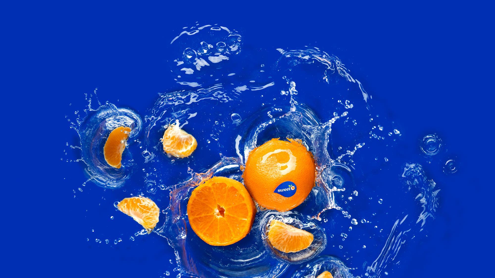 Sweet C Mandarin brand bursts its way on to shelves in China ...