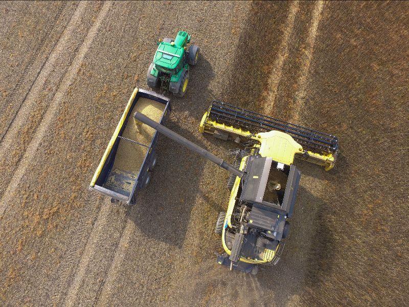 Major project boosts pulse production | News | Fruitnet