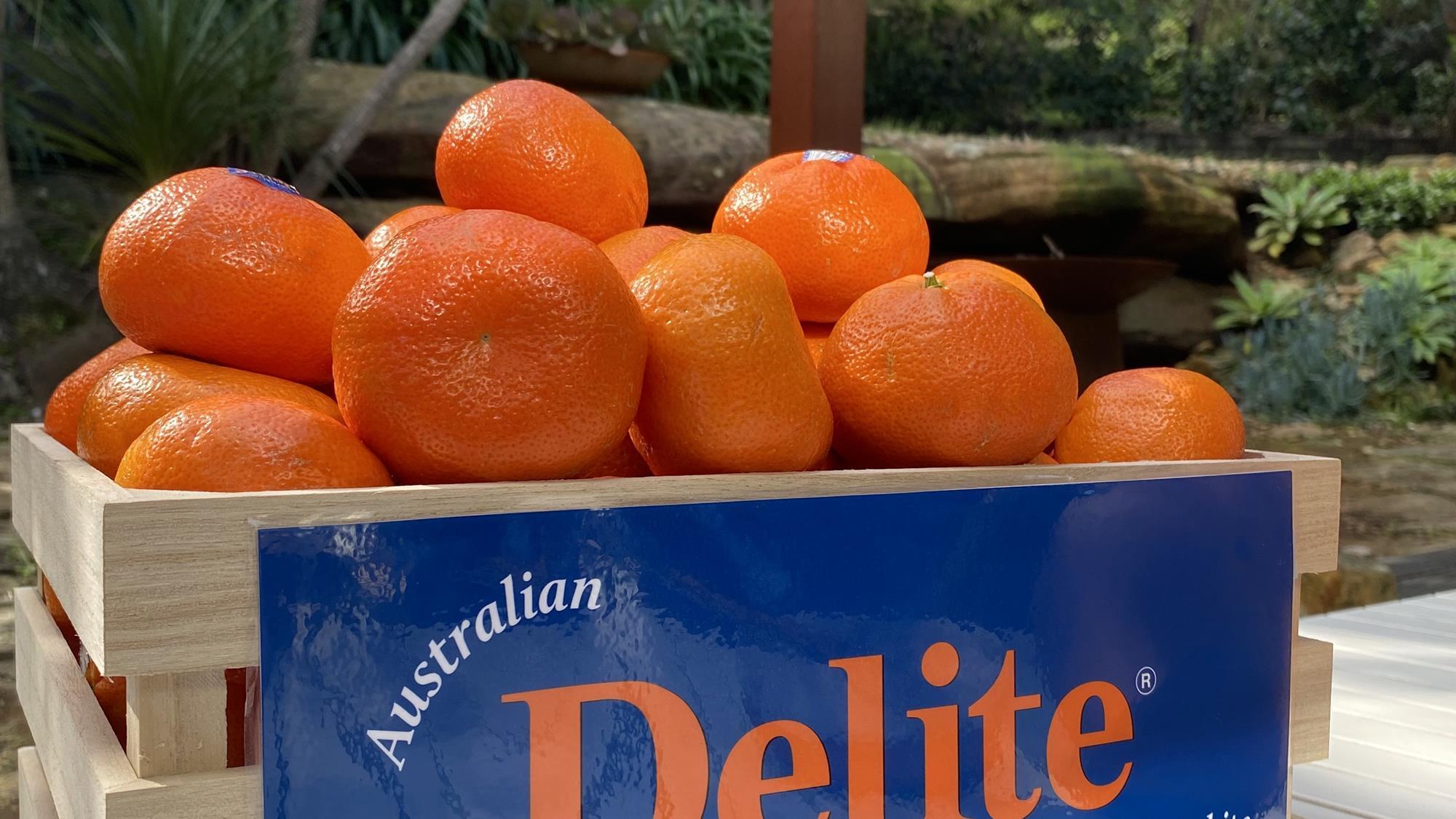 Delite marks ten years | Article | Fruitnet