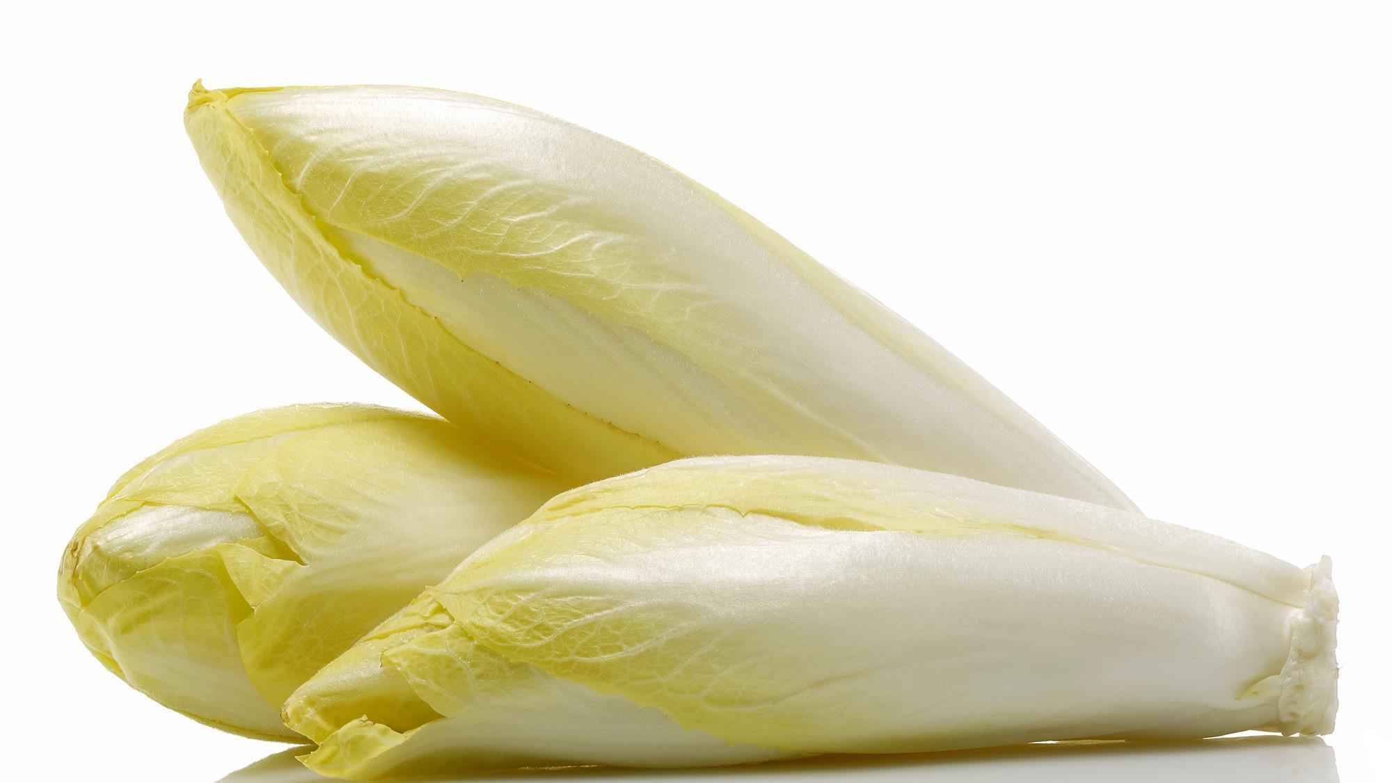 Belgien: Chancen für Chicorée als wertvoller Ballaststofflieferant ...