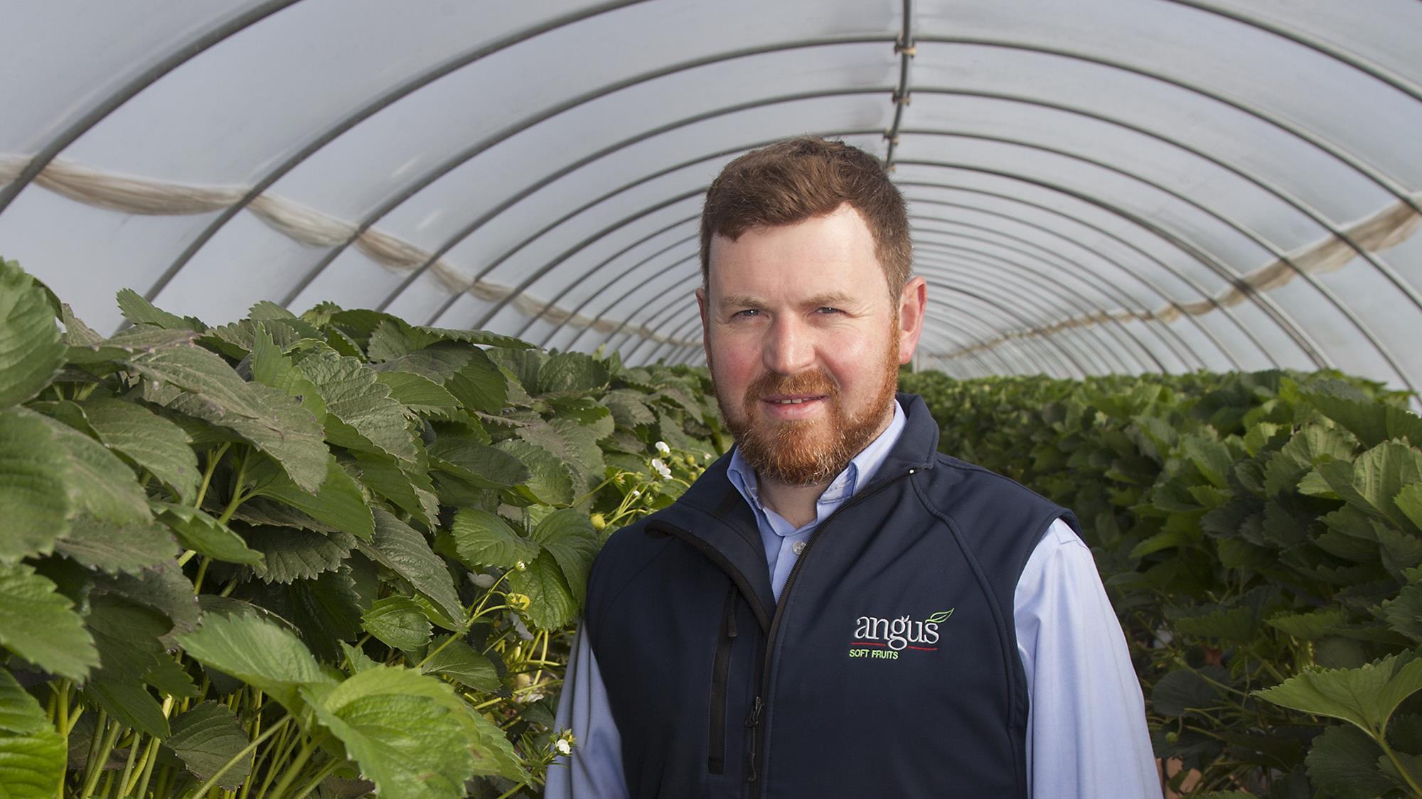 ‘It’s time to back British’ | News | Fruitnet